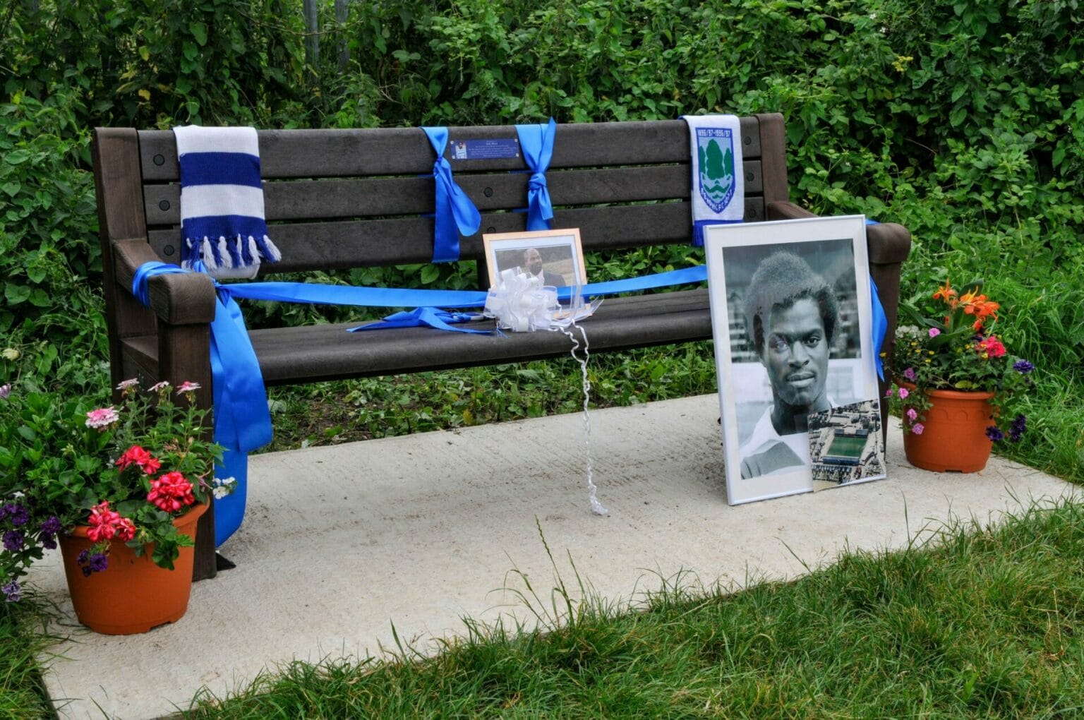 Memorial bench unveiled in memory of Reading FC’s first ever black ...